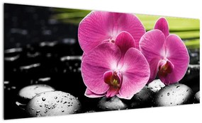 Fotka orchideje (100x40cm)