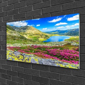 Obraz na skle Hora Záliv Louka Příroda 125x50 cm