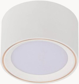 Stropní LED svítidlo