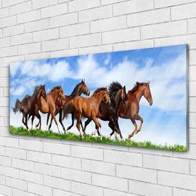 akrylový obraz Cválající Koně na Pastvině 125x50 cm