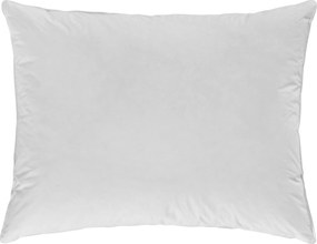 XXXLutz POLŠTÁŘ, 70/90 cm Sleeptex - Polštáře pod hlavu - 007992041001