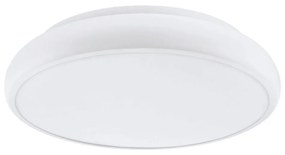 Eglo 98045 - LED RGB Stmívatelné stropní svítidlo RIODEVA-C LED/27W/230V 98045