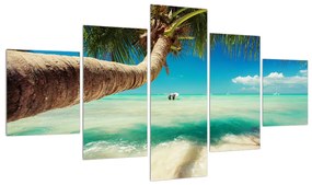 Obraz čistého moře s palmou (125x70 cm)