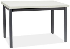 Jídelní stůl ADAM | 120 x 68 cm Barva: bílý mat / černá