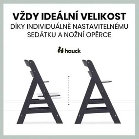 Hauck Alpha+ dřevěná židle+novorozenecký set polohovací, 0m+, Dark Gre