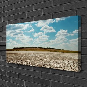 Obraz na plátně Poušť Krajina 100x50 cm