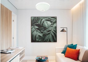 ECOLIGHT LED stropní svítidlo 2xE27 s pohybovým senzorem - sklo