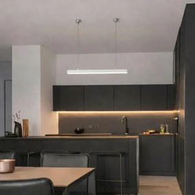 Brilagi - LED Závěs. svít. FULLDAY LED/10/15/20W/230V 2700/4000/6000K 60 cm bílá