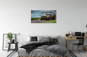 Obrazy na plátně Auto Field hory mraky 100x50 cm