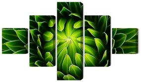 Vícedílný obraz Zelená Rostlina V Makro Měřítku Nedostatek Nedostatek Plátno Canvas 200x120