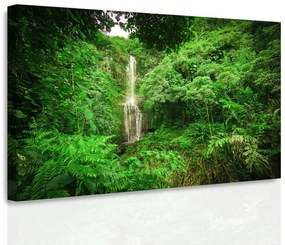 Malvis ® Obraz na stěnu Vodopád v lese Velikost: 90x60 cm