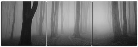 Obraz na plátně - Mlha v lese - panoráma 5182QB (150x50 cm)