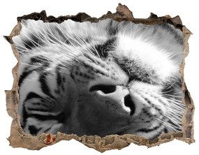 Wallmuralia Díra 3D fototapeta nálepka Spící tygr 95x64 cm