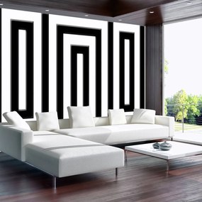 Fototapeta - Černý a bílý labyrint (254x184 cm)