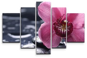 Sablio Obraz - 5-dílný Orchidej - 125x90 cm