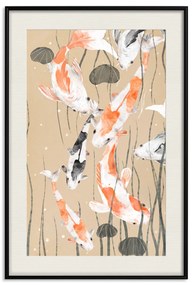 Plakát Koi kapr - plovoucí malovaný japonský kapr mezi mořskými řasami
