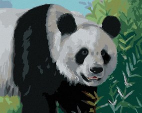 zuty zuty - malování podle čísel - panda (d. rusty rust), 40x50 cm, plátno