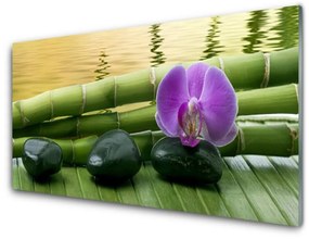 Obraz na skle Květ Kameny Bambus Příroda 100x50 cm