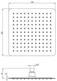 Deante Cascada, nerezová dešťová sprchová hlavice 250x250 mm, černá matná, DEA-NAC_202K