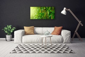 Obraz na plátně Bambus Stonky Rostlina 100x50 cm