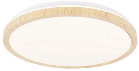 LED Stropní svítidlo GANDAVA LED/24W/230V