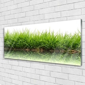 akrylový obraz Tráva Voda Příroda Rostlina 125x50 cm