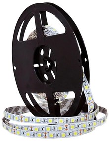 LED Pásek 5m 28W/12V IP20 6500K