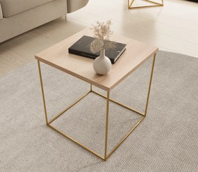 ADRK Furniture Konferenční stolek Adina CT-ADI-G-S