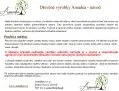 AMADEA Dřevěné servírovací prkénko - podnos kočka, masivní dřevo, 20 cm