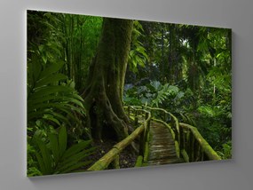 Liox Obraz cesta deštným pralesem Rozměr: 150 x 100 cm