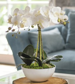 Orchidej v květináči 5-pohonný Jako Živý bílý 50 cm umělé květy