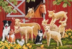 SCHMIDT Puzzle Zvířata na farmě / 3x48 dílků / 26,3 x 17,8 cm