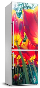 Wallmuralia Nálepka fototapeta na ledničku Tulipány 60x180 cm