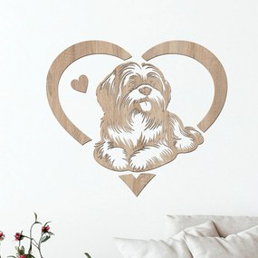 dřevo života Dřevěný obraz ležícího SHIH TZU v srdci Zvolte rozměr (cm): 60x52, Zvolte barvu dekoru: Dub Sonoma