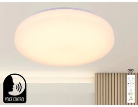 LED Stmívatelné stropní svítidlo s hlasovým ovládáním OPAL LED/48W/230V + DO