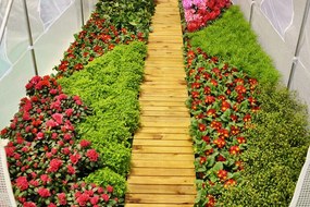 Home Garden zahradní foliovník 3 x 6 m -18 m2 zelený