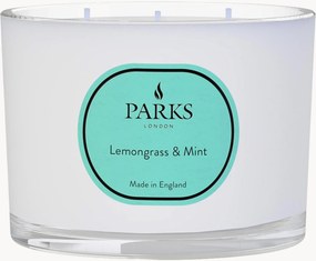 Ručně vyrobená vonná svíčka se třemi knoty Vintage Aromatherapy (citronová tráva, máta a citrus)