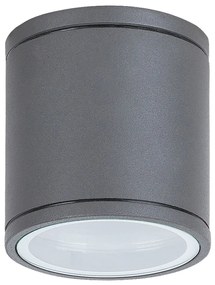 Stropní venkovní svítidlo AKRON 1x35W, GU10, ES50, 230V, IP54 - 8150 - Rabalux
