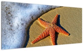 Obraz s mořskou hvězdou (100x40cm)