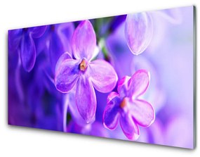 Obraz na skle Fialové Květiny Příroda 100x50 cm