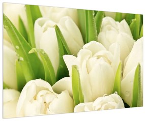 Obraz květů tulipánů (90x60 cm)