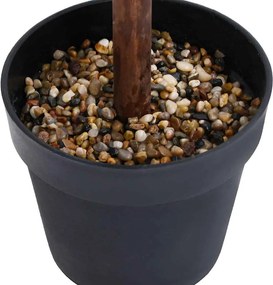 Umělý zimostráz ve tvaru koule s květináčem zelený 71 cm 336508