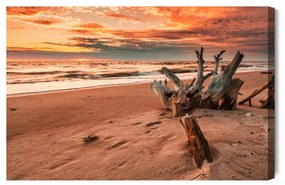 Obraz Západ Slunce Na Pláži Nedostatek Nedostatek Přírodní plátno 100x70