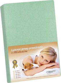 Bellatex Jersey LUX Zelená 180x200x40 cm