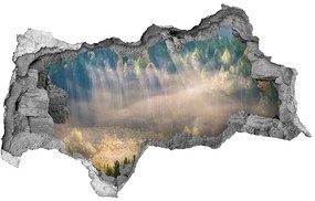 Wallmuralia Fototapeta díra na zeď Mlha v lese 95x73 cm
