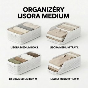Rotho Úložný box do skříně, šatní organizér LISORA ot. př. hrana M - 48,2 × 21 × 15 cm