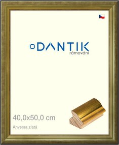 DANTIK rámeček 40x50 | ANIVERSA zlatá (Sklo Čiré)