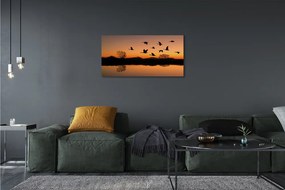 Obrazy na plátně Létající ptáky sunset 140x70 cm
