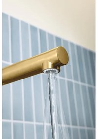GROHE 30269GN0 - Dřezová baterie ESSENCE zlatá