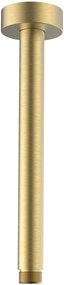 Sapho - Sprchové rameno stropní, 20 cm, matná zlatá 1205-05GB